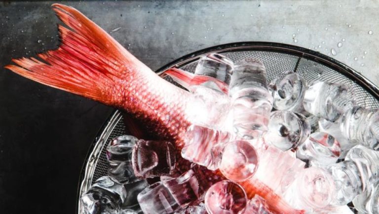 Creative Ways to Use Ice Cubes in the Kitchen | Ice Hacks